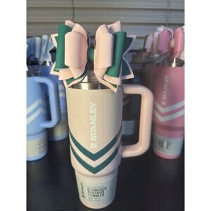 Stanley | Dining | Stanley Oasis 3oz Pink And Green Chevron Protour ...